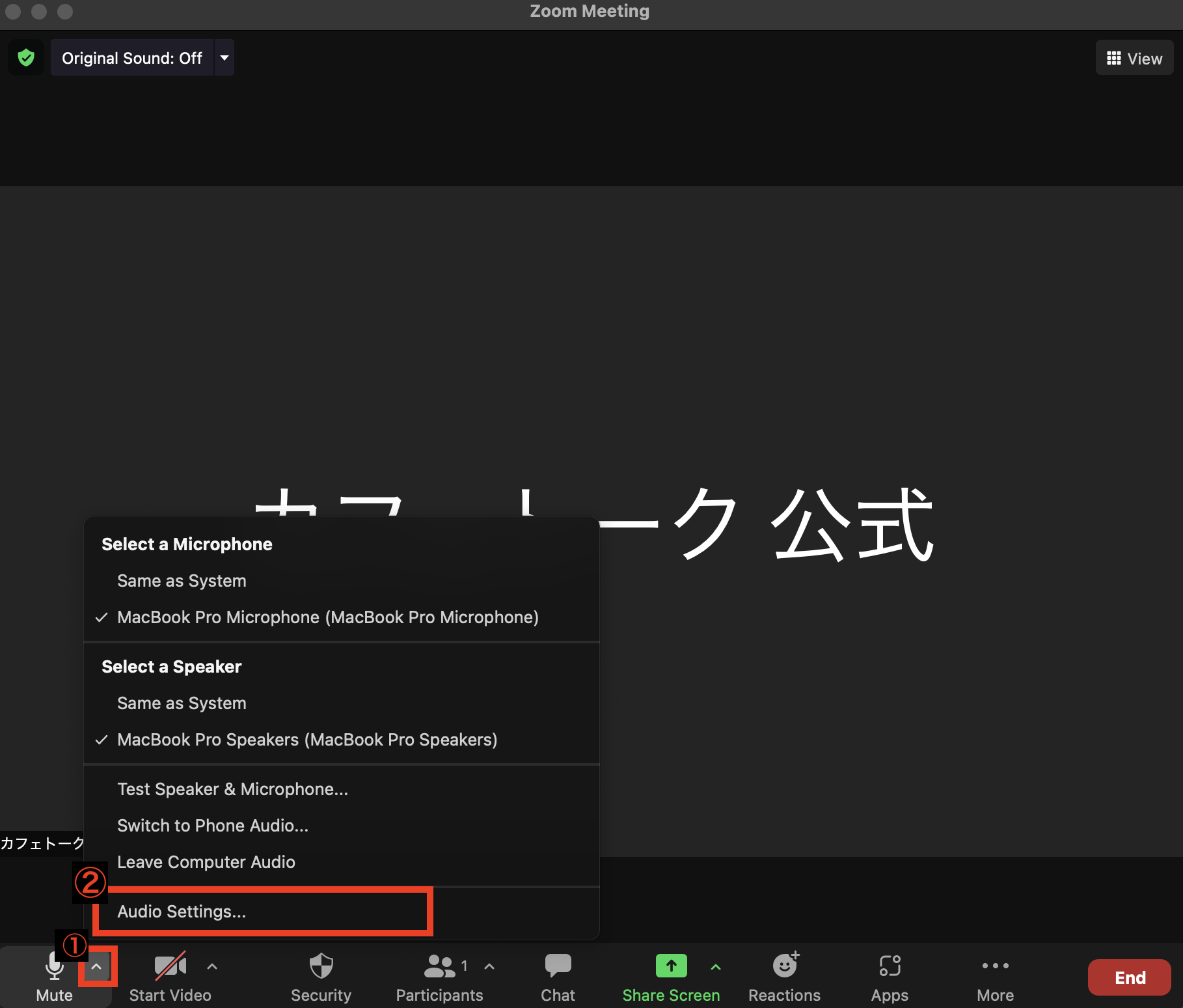How To Set Your Audio Preferences For Music Lessons Via Zoom Cafetalk