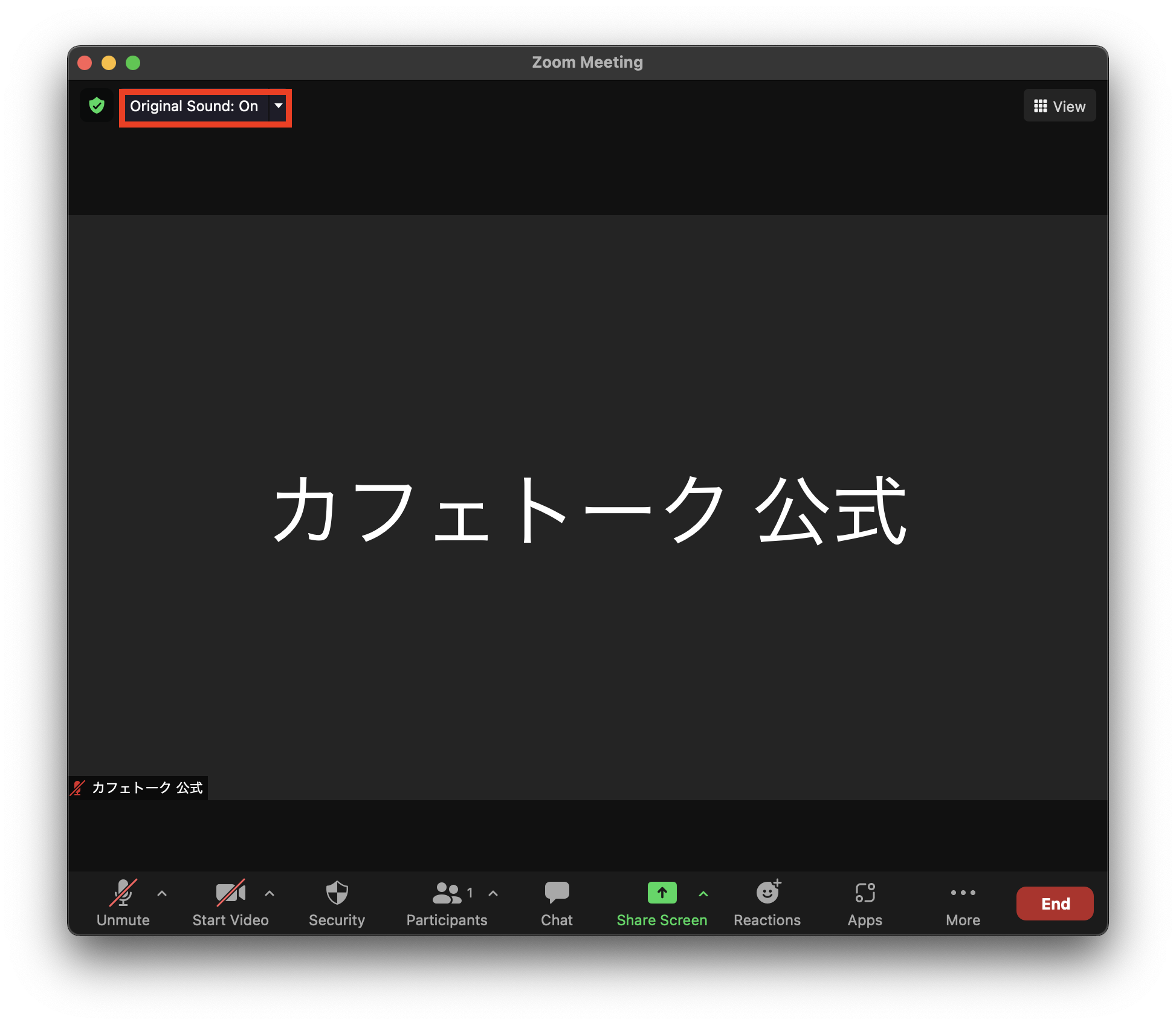 How To Set Your Audio Preferences For Music Lessons Via Zoom Cafetalk